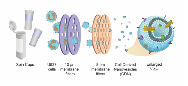 BioNanoTechnology - NUS Pharmacy and Pharmaceutical Sciences :: NUS ...