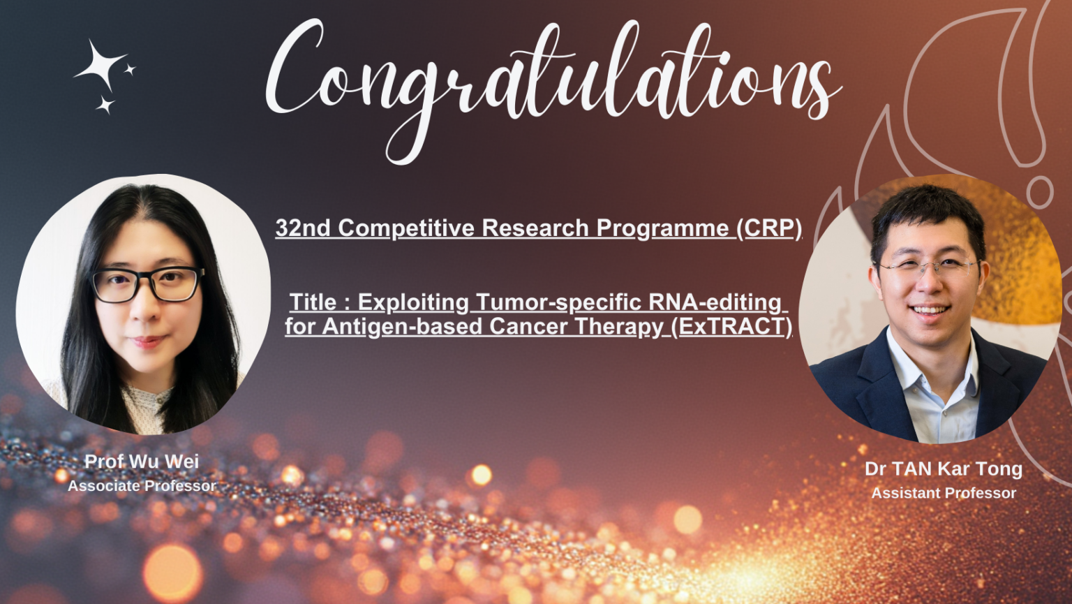 32nd Competitive Research Programme (CRP) – Prof Wu Wei and Dr Tan Kar ...